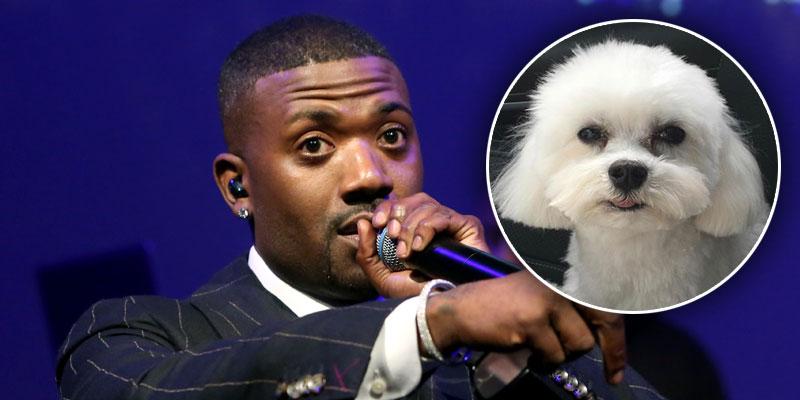 Ray J Claims His Dog Was Kidnapped, Offering $20,000 If Returned