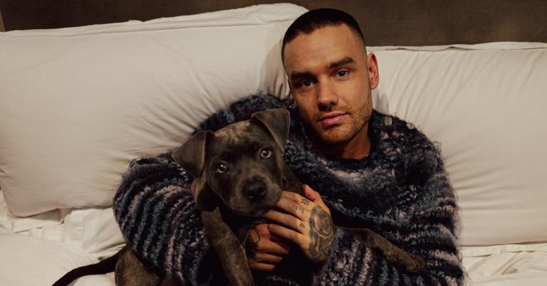 Liam Payne's Death: 5 People Charged, Including Friend Roger Nores