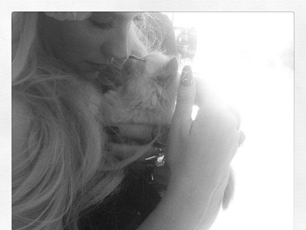 The Cutest Celebrity Pets!