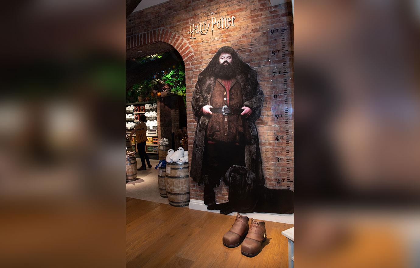 New Harry Potter Store Opens In NYC — See Photos Inside