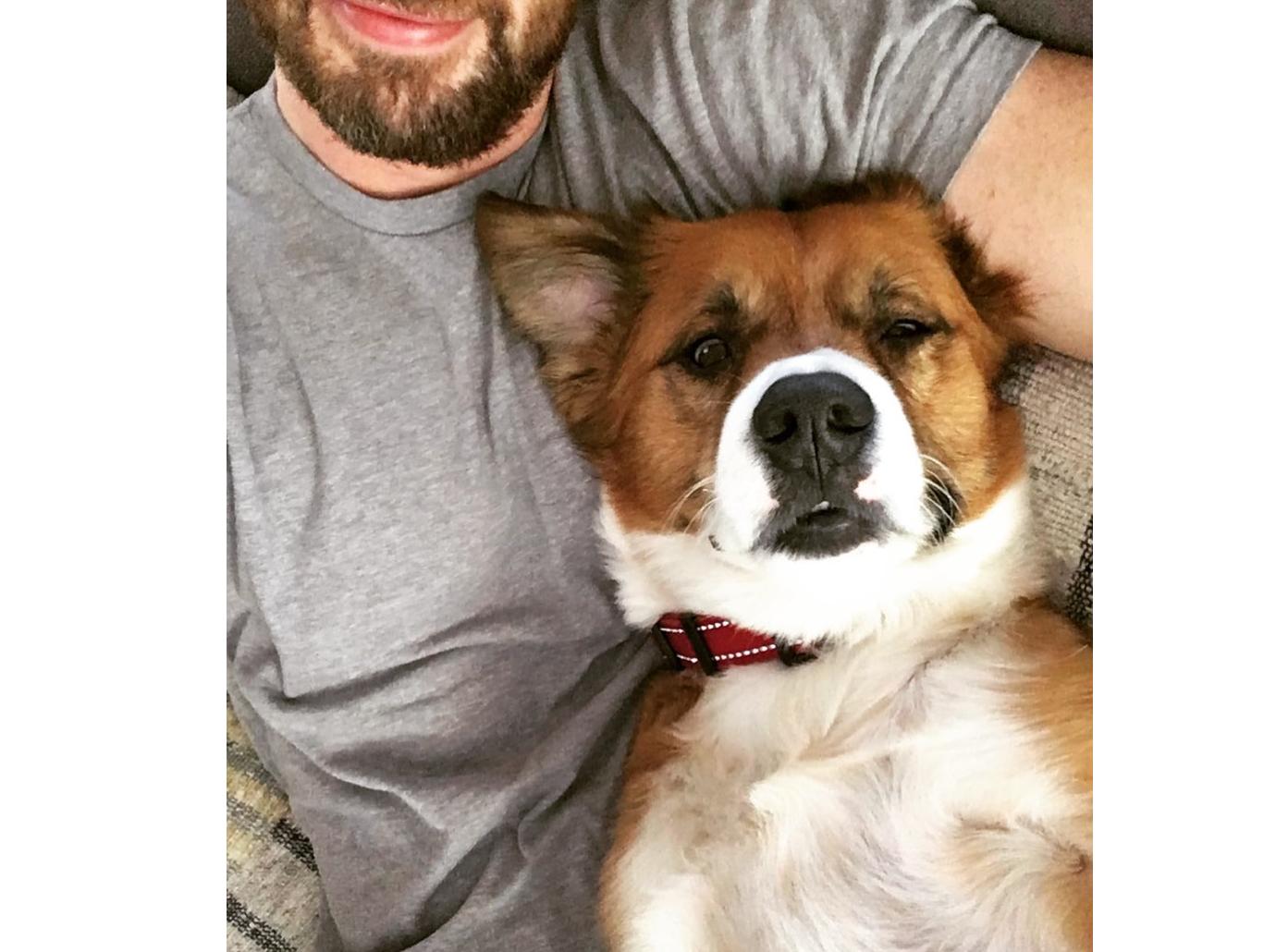 'Captain America' Star Chris Evans And His Dog Dodger Are Inseparable ...
