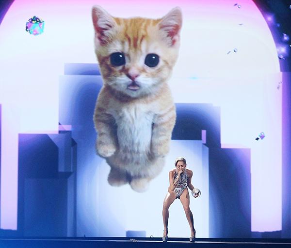 Watch Miley Cyrus Perform at the AMAs With a Giant Kitten!