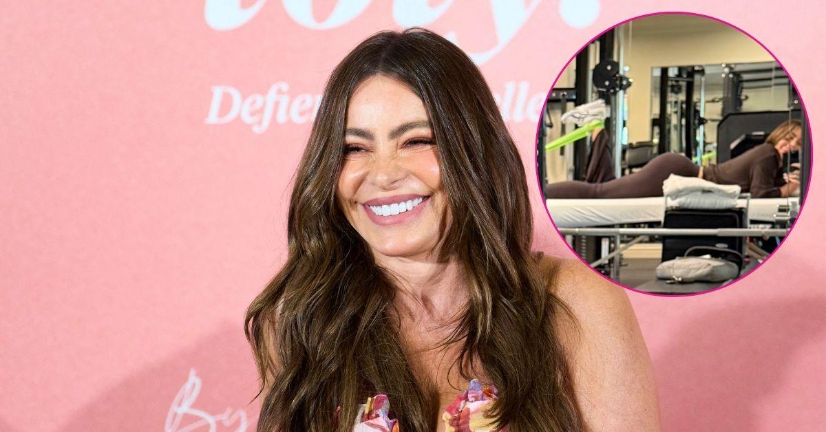 Sofia Vergara Flaunts Assets In Cheeky Snap After Knee Surgery: Photo