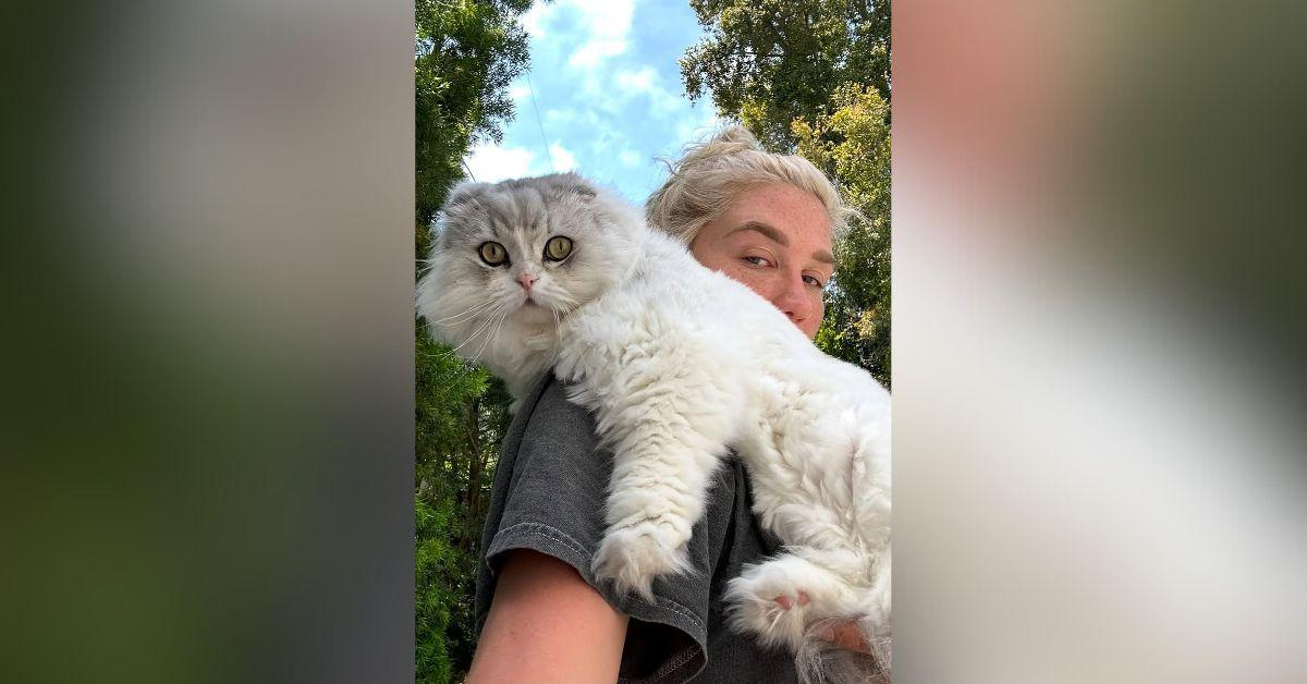 Kesha Goes Topless As She Cuddles With Late Cat Carl: Hot Photo