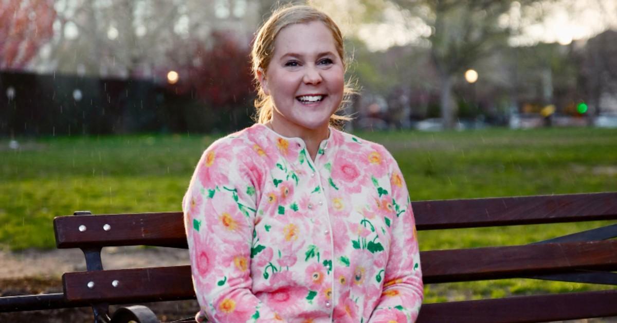 Amy Schumer 'Rose' Above Mean Comments Made About Her Puffy Face