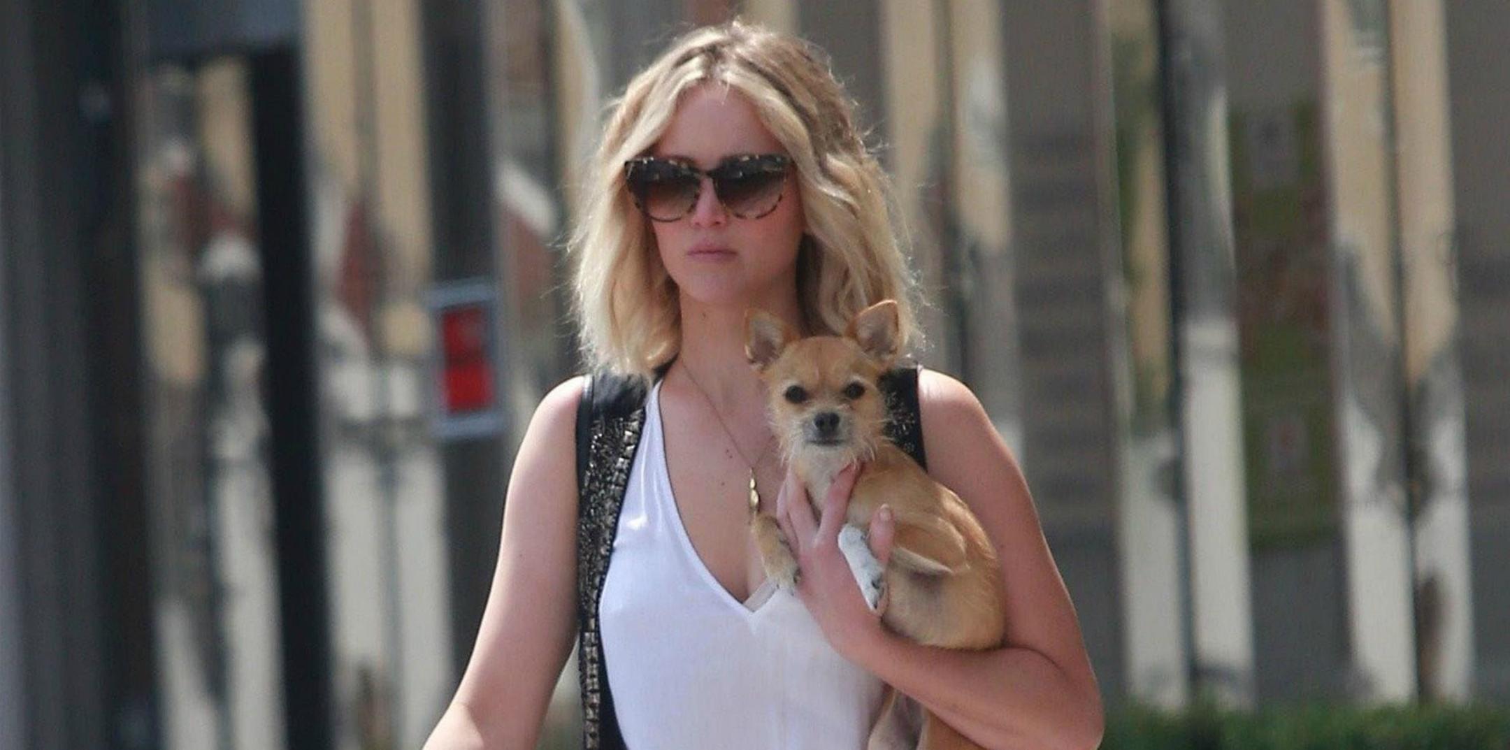[PICS] Jennifer Lawrence Spotted With Her Dog Pippi Stocking