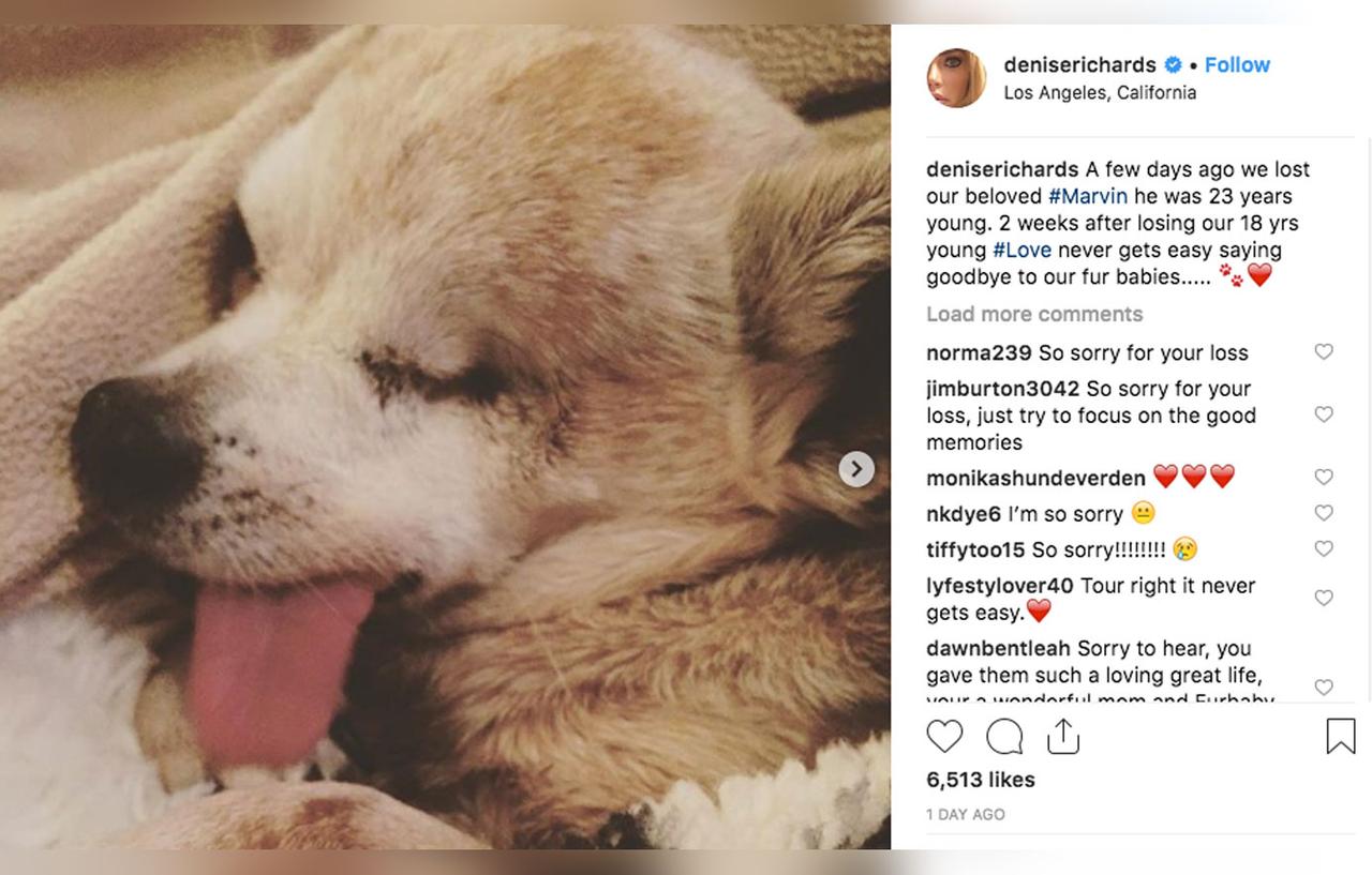 Denise Richards Mourns The Loss Of Her Dogs