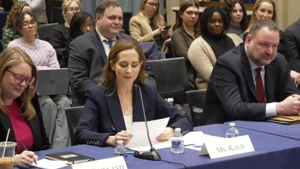 Bess Kalb Takes Aim At Donald Trump During Capitol Hill Hearing