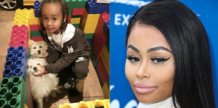 Fans Slam Blac Chyna For Letting Her Son King Cairo Rough Up Their Dogs!