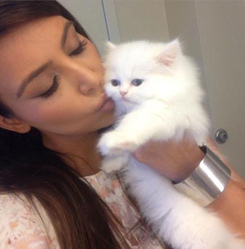 The 12 Most Famous Pets on Reality TV