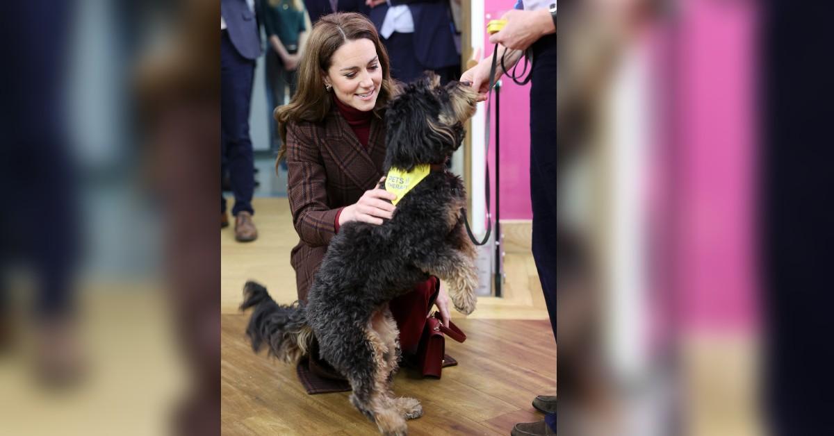 Kate Middleton Is In Remission, Talks Cancer Side Effects